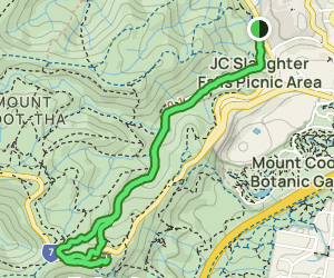 Mount Coot-tha Summit Trail - Queensland, Australia#N# | AllTrails