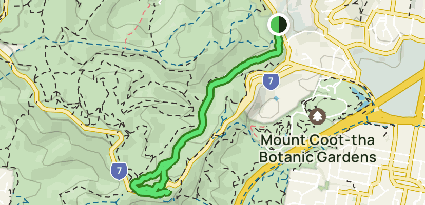 Are Dogs Allowed At Mt Coot Tha Lookout