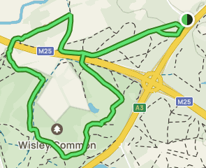 Buxton Wood and Wisley Common Circular: 19 Fotos - Surrey, England ...