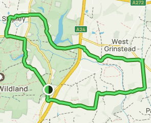 Knepp Wildland, West Grinstead and Dial Post Circular, West Sussex ...