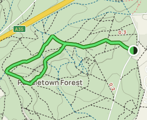 Puddletown Forest via Black Bottom, Dorset, England - 13 Reviews, Map ...