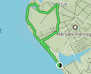 Marbæk Plantage - Ho Bugt - Myrtue: 11 Reviews, Map - Region of ...