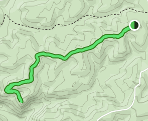 Cliffside Trail: 88 Reviews, Map - West Virginia | AllTrails