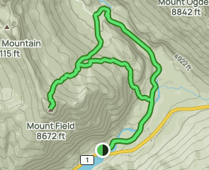 Mount Field Skier's Route, British Columbia, Canada - 4 Reviews, Map ...