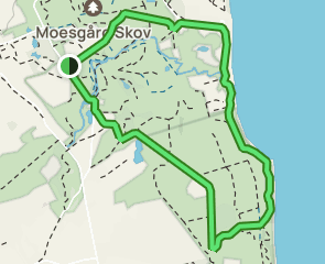 Moesgård skov - Moesgård Strand - Moesgård Skovmølle, Central Denmark ...