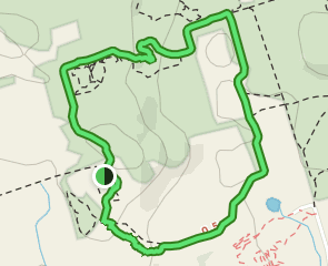Trail Hub Loop, Ontario, Canada - 141 Reviews, Map | AllTrails