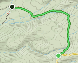 Round the Mountain Track: Ohakune Mountain Road to Mangaturuturu Hut ...