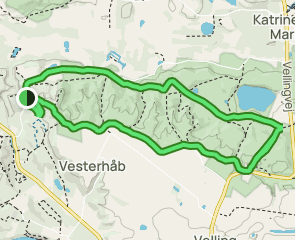 Velling Skov - Velling Kalv, Central Denmark, Denmark - 23 Reviews, Map ...