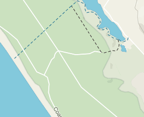 Muriwai Beach and Lake Kereta Loop Walk: 13 Reviews, Map - Auckland ...