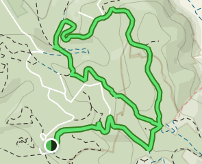 Carmel Forest, Mount Shokqef and Mount Arkan Loop, Haifa, Israel - 6 ...