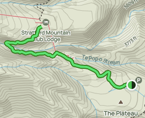 Manganui Gorge Track, Taranaki, New Zealand - 12 Reviews, Map | AllTrails
