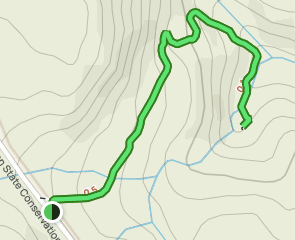 Ugly Corner Falls Walking Track, New South Wales, Australia - 2 Reviews ...