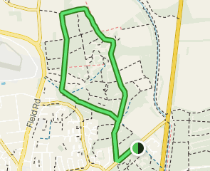 Mildenhall Woods Circular, Suffolk, England - 161 Reviews, Map | AllTrails