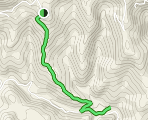 Bosque del San José del Pacifico, Oaxaca, Mexico - 4 Reviews, Map ...