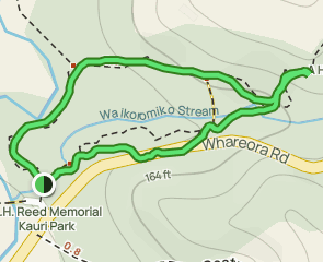 Paranui Falls Loop, Northland, New Zealand - 21 Reviews, Map | AllTrails