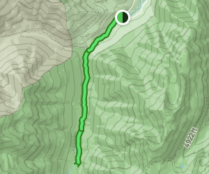 AllTrails | Upper Dungeness Trail to Handy Camp: 429 Reviews, Map ...