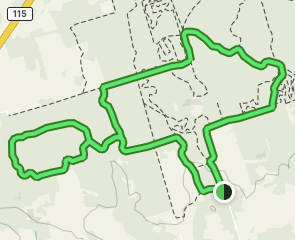 Green Forest Loop, Ontario, Canada - 31 Reviews, Map | AllTrails