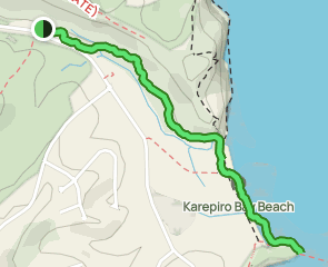 Dacre Cottage Historical Reserve Walk, Auckland, New Zealand - 22 ...