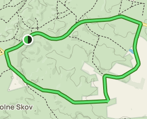Tolne Skov via Dvergetvedvej, North Denmark Region, Denmark - Map ...