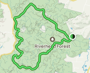 Riverhead Forest Loop Track, Auckland, New Zealand - 45 Reviews, Map ...