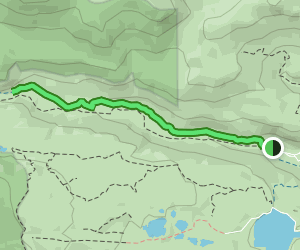 Middle St. Vrain Trail: 672 Reviews, Map - Colorado | AllTrails