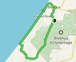 Blokhus - Rødhus - Blokhus Klitplantage: 8 Reviews, Map - North Denmark ...