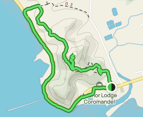 Kaori Block Loop Walk, Waikato, New Zealand - 19 Reviews, Map | AllTrails