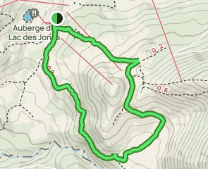 Les Paccots Circular, Fribourg, Switzerland - 11 Reviews, Map | AllTrails