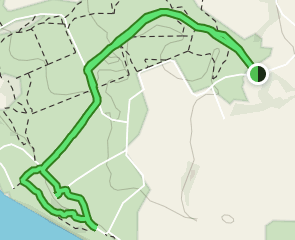 Waiuku Forest Beach Walk, Auckland, New Zealand - 50 Reviews, Map ...