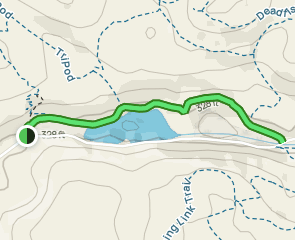 Mud Lake Trail, British Columbia, Canada - 4 Reviews, Map | AllTrails