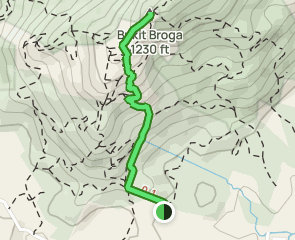 Broga Hill Peak 3 via MPKJ Trail, Selangor, Malaysia - 243 Reviews, Map ...
