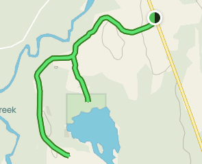 Proctor Lake Trail, British Columbia, Canada - Map, Guide | AllTrails