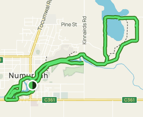 Numurkah Wetlands Circuit via Wetland Walk: 19 fotos - Victoria ...