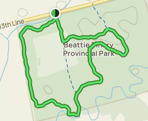 Beattie Pinery Long Loop, Ontario, Canada - 102 Reviews, Map | AllTrails