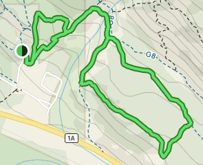 Grotto Mountain - G8 - Horse Meadows Trail, Alberta, Canada - 7 Reviews ...