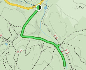 Sher Brook Stepping Stones, Staffordshire, England - 43 Reviews, Map ...