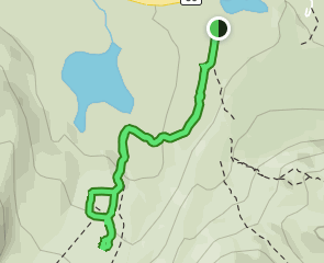 Forefield Trail of the Athabasca Glacier, Alberta, Canada - 163 Reviews ...