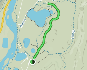 Woodpecker Trail, Saskatchewan, Canada - 43 Reviews, Map | AllTrails