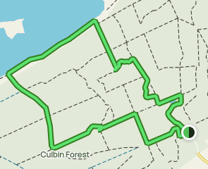 Culbin Forest, Hill 99, and The Gut Circular, Moray, Scotland - 9 ...
