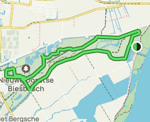 Nieuwe Dordtse Biesbosch, South Holland, Netherlands - 16 Reviews, Map ...