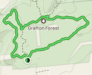 Grafton Forest Loop, New York - 161 Reviews, Map | AllTrails