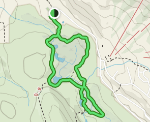 Paradise Meadows Loop Trail, British Columbia, Canada - 203 Reviews ...