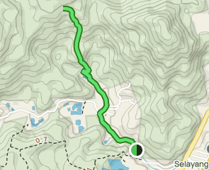 Bukit Lagong Trail, Selangor, Malaysia - 11 Reviews, Map | AllTrails