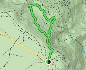 PR17 - O Caminho do Pináculo, Madeira, Portugal - 5 Reviews, Map ...