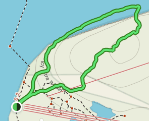 Hoonah Nature Loop Trail, Alaska - 13 Reviews, Map | AllTrails