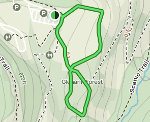 Glenariff Forest Park, Viewpoint Trail, Mid and East Antrim, Northern ...