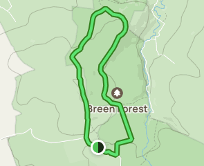 Croaghan Breen Forest Walk, Causeway Coast and Glens, Northern Ireland ...