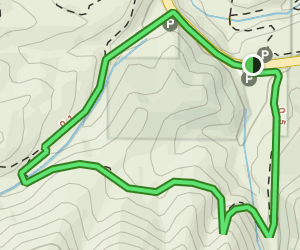 Founders Trail to Collins Trail Loop: 93 Reviews, Map - Oregon | AllTrails