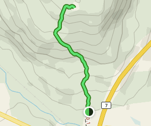 Mount Douglas Bald Trail : 341 Reviews, Map - New Brunswick, Canada ...
