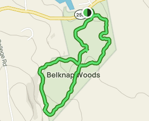 Belknap Woods Loop, New Hampshire - 176 Reviews, Map | AllTrails